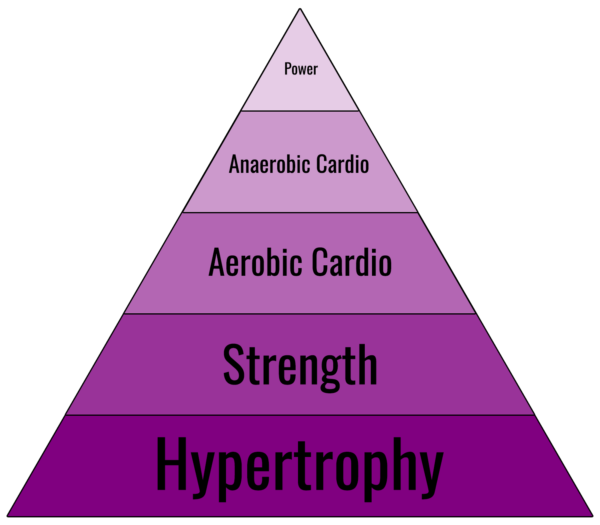 Strength & Hypertrophy: Training Fundamentals - Fitstra